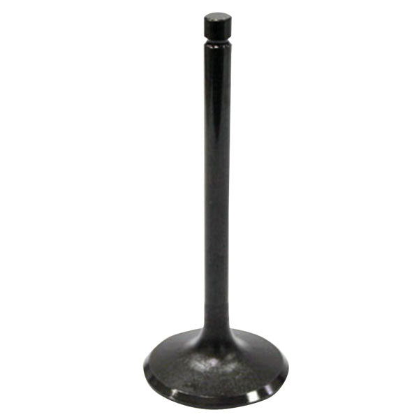 GA78-71003 – Caster Wheel – Casterland